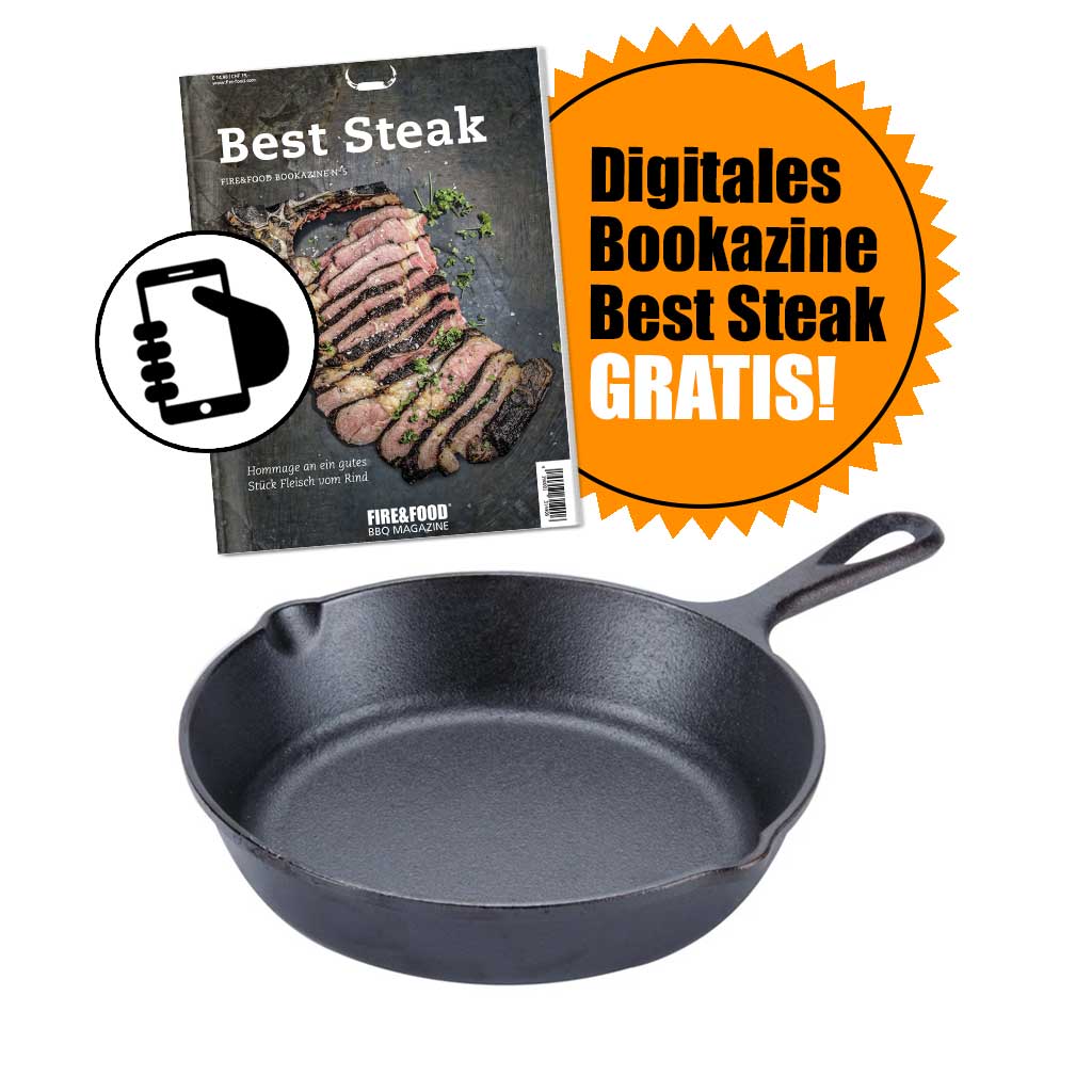 Lodge seasoned cast iron store
